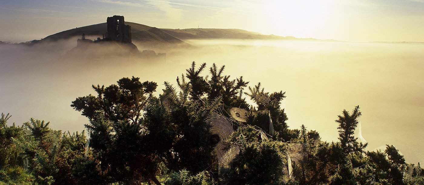 Halloween At Corfe Castle Near Burnbake - Burnbake