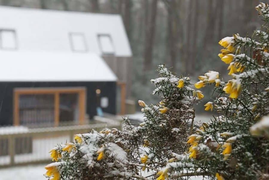 Burnbake Forest Lodges & Campsite - Burnbake