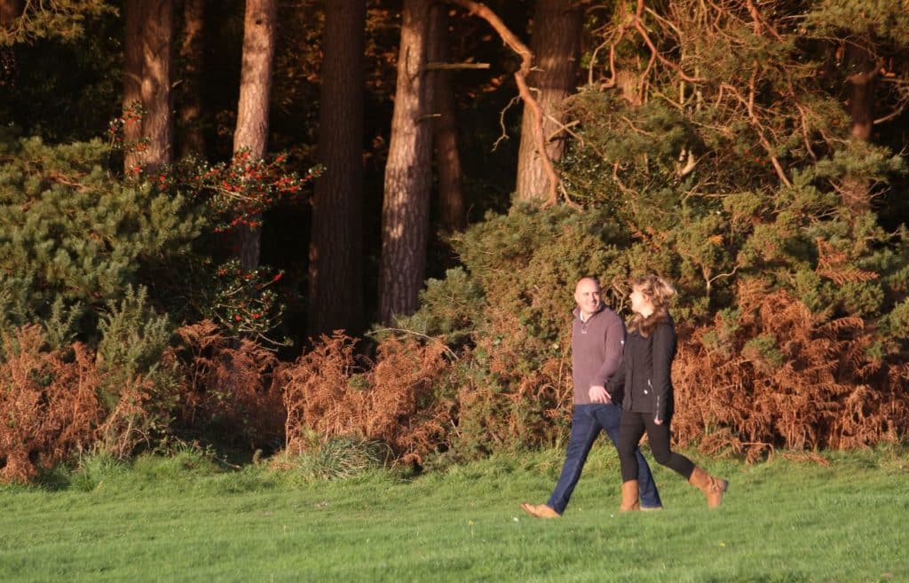 Forest Bathing - Burnbake