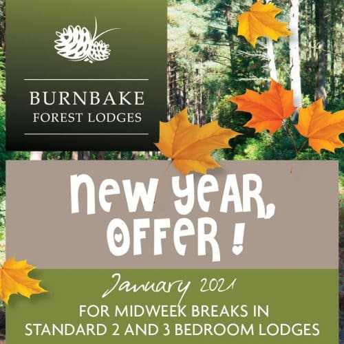 Safe haven - Burnbake