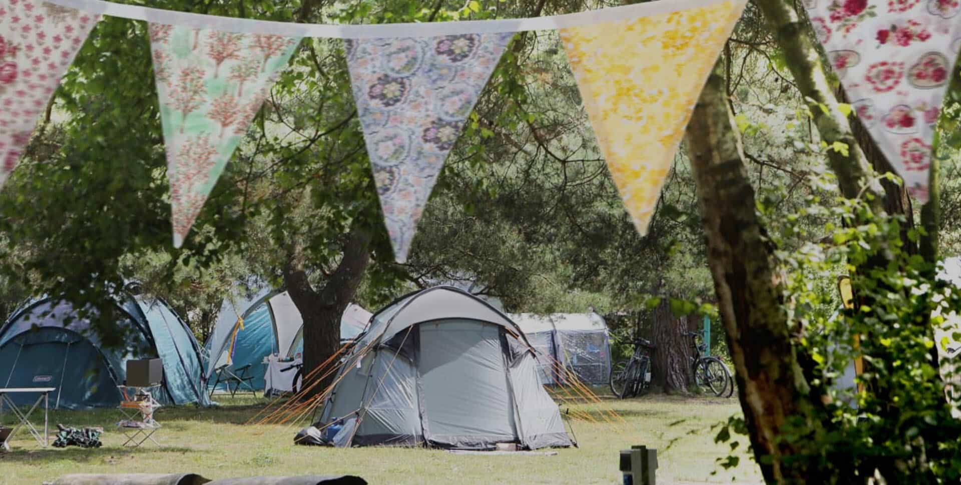 Burnbake Forest Lodges & Campsite - Burnbake