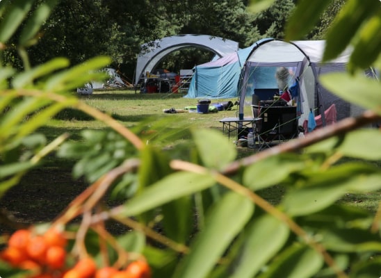 Burnbake Forest Lodges & Campsite - Burnbake