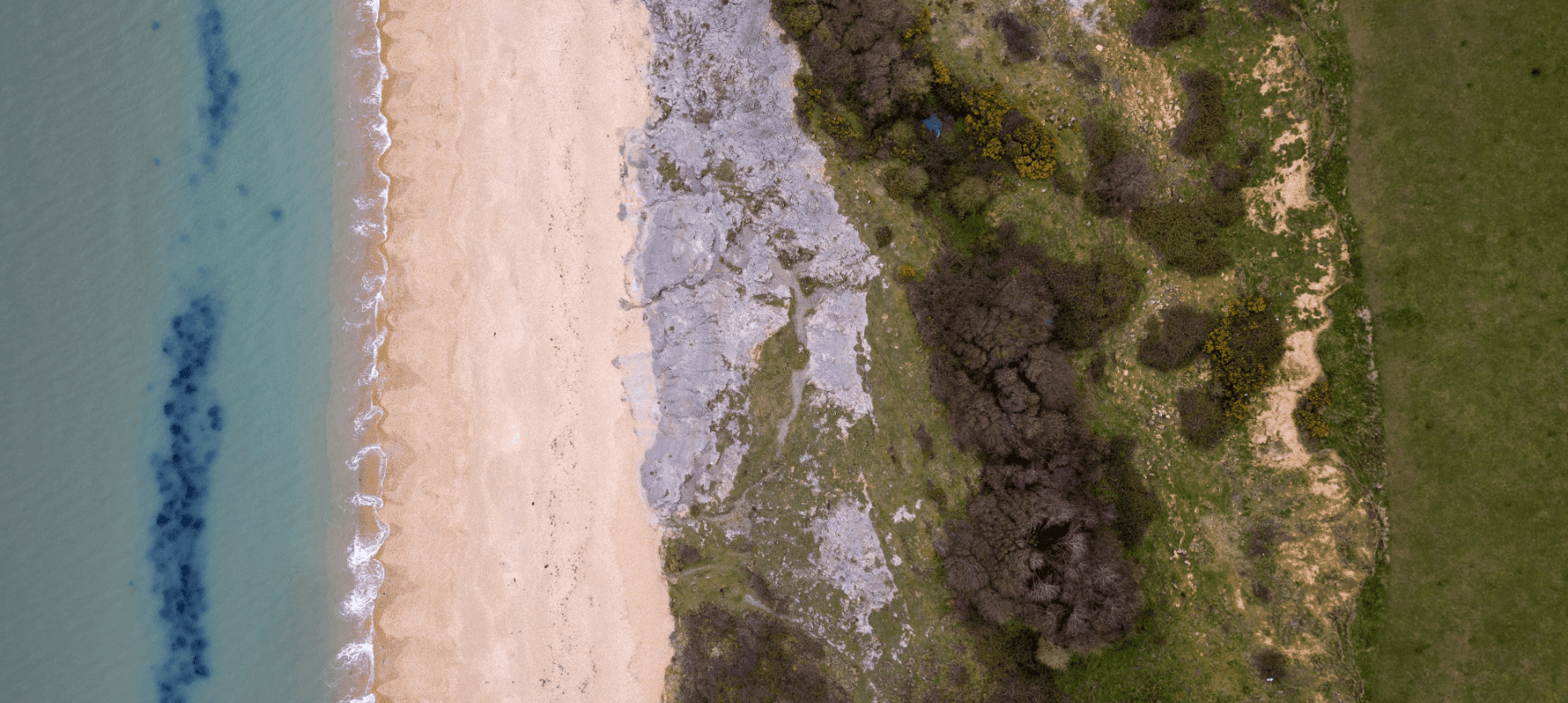 Beach Aerial - Burnbake