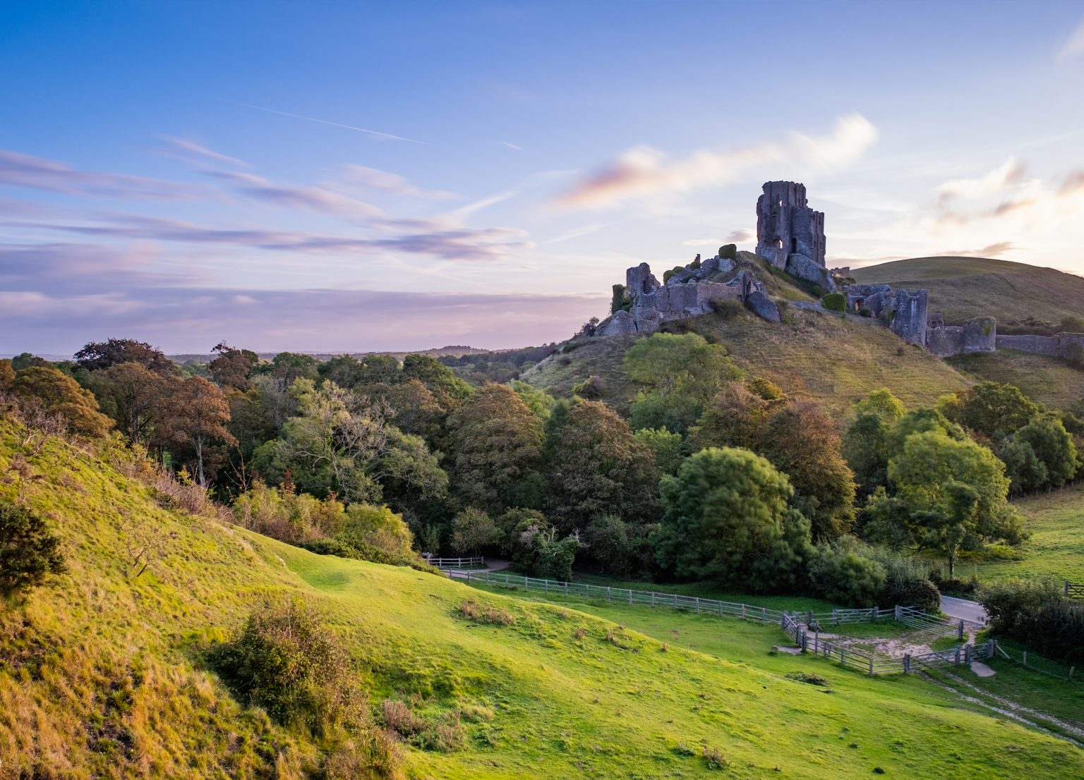 Purbeck Heath - Burnbake