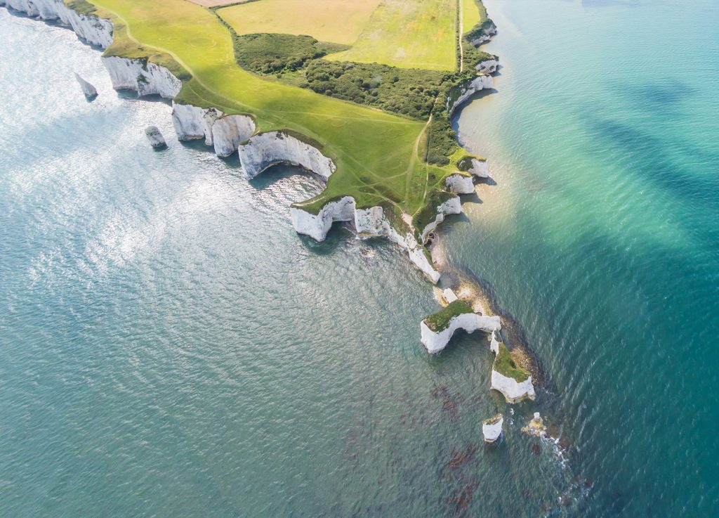 Purbeck Heath - Burnbake