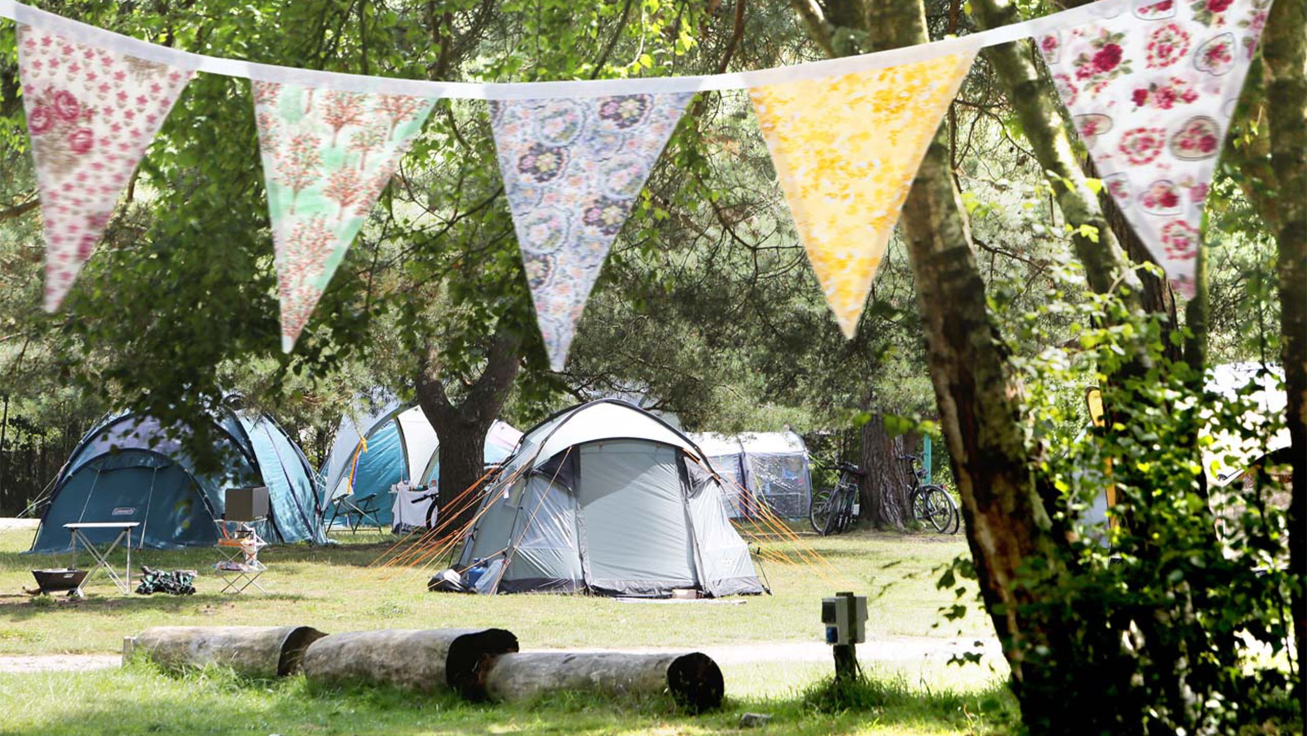 Burnbake Campsite | The Big Camp Out | Dorset holidays