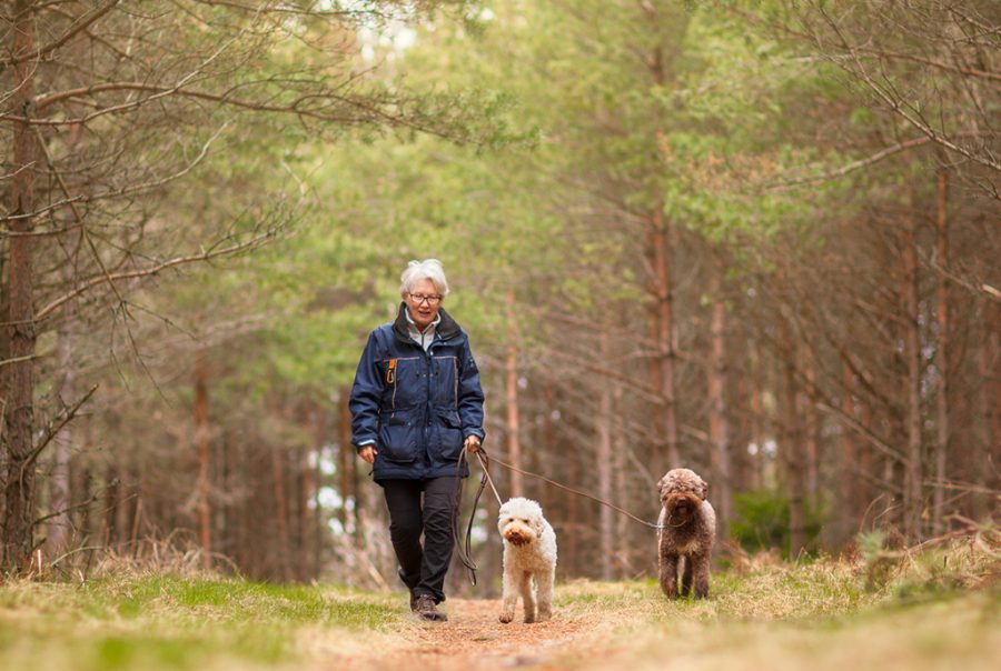Burnbake Forest Lodges & Campsite - Burnbake