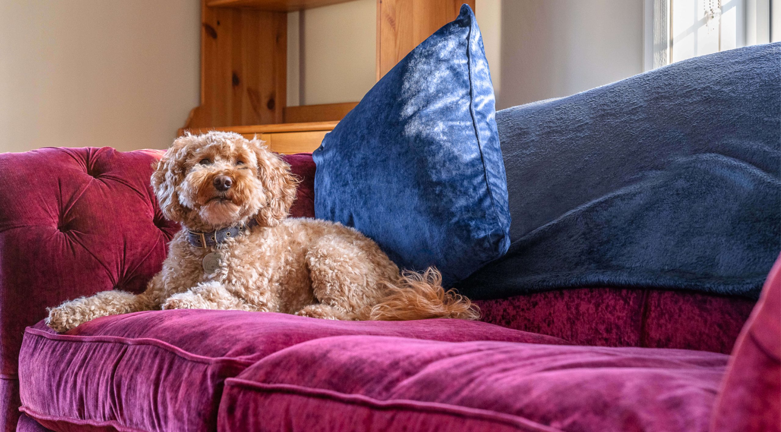 Rempstone Farmhouse - Burnbake