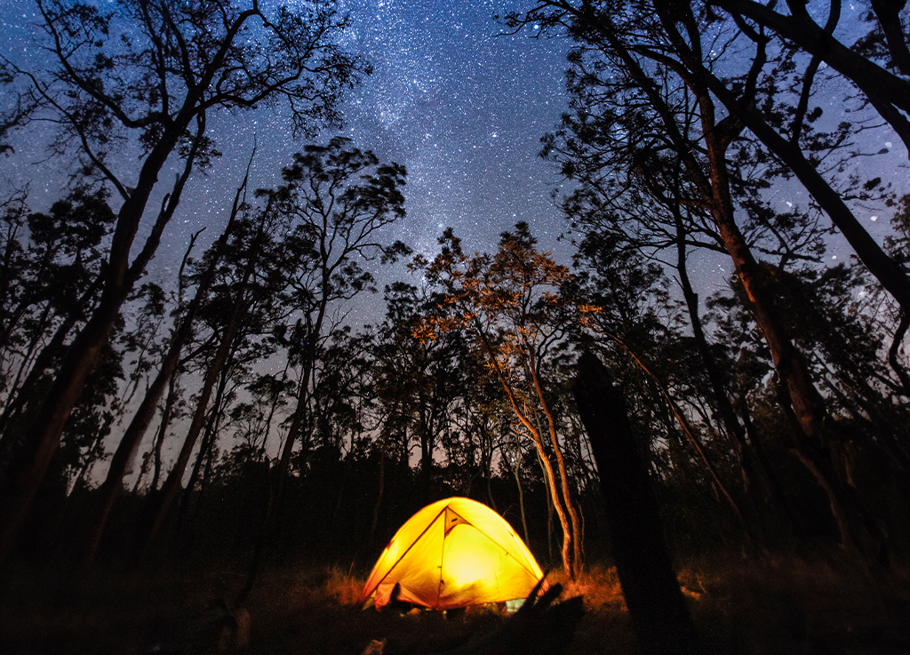 Luxury Camping in Dorset | Family Holidays at Burnbake