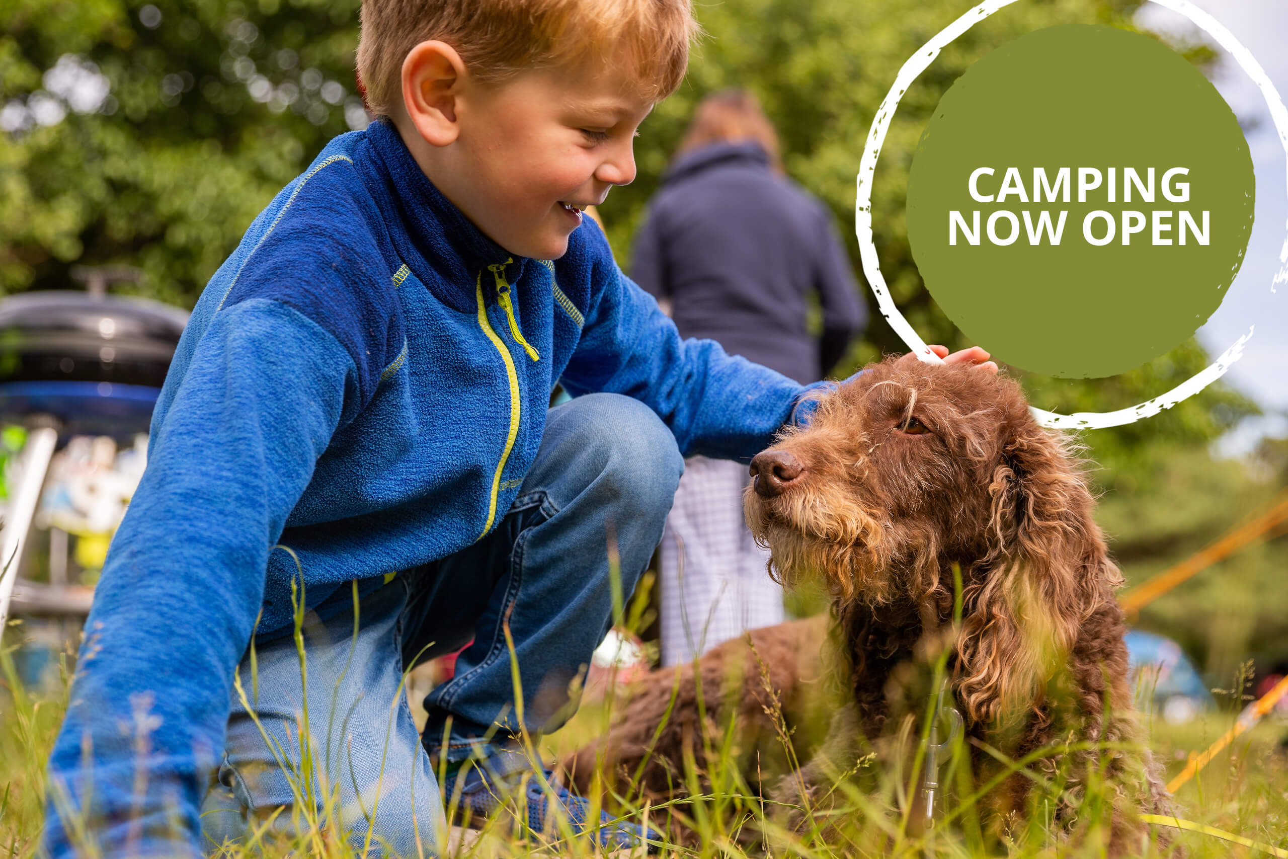 Burnbake Forest Lodges & Campsite - Burnbake